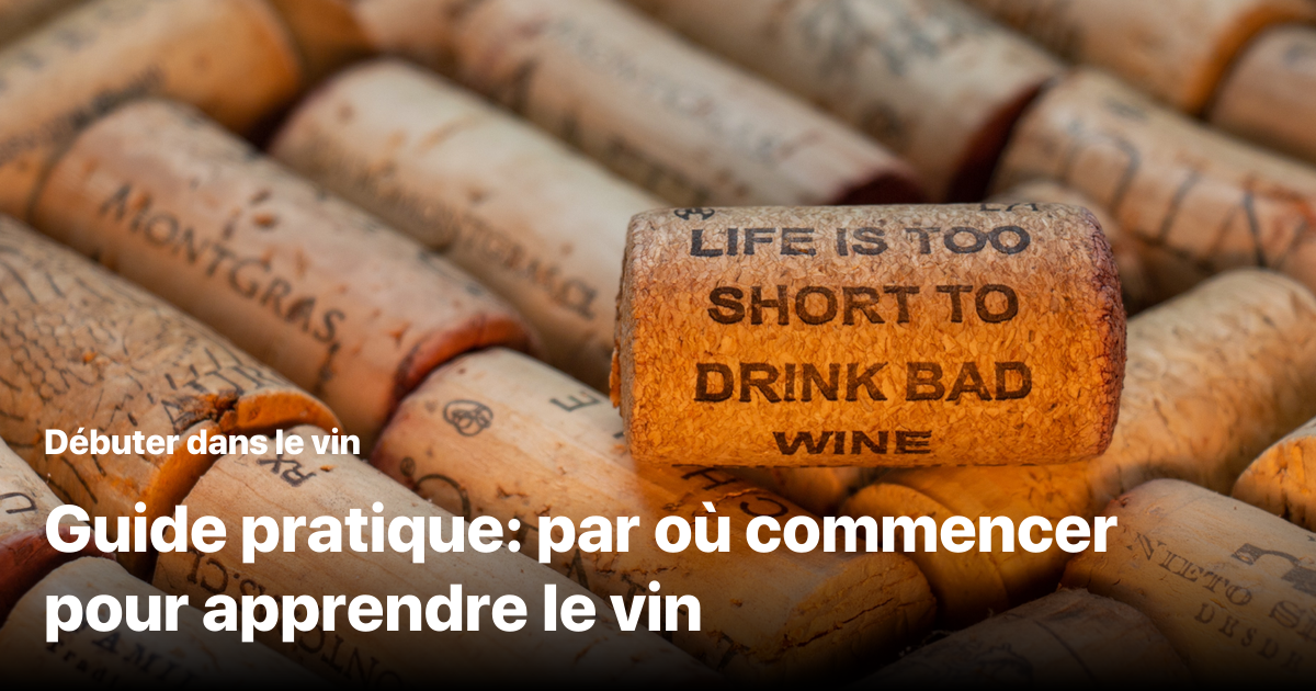 Guide pratique: par où commencer pour apprendre le vin - Tasters